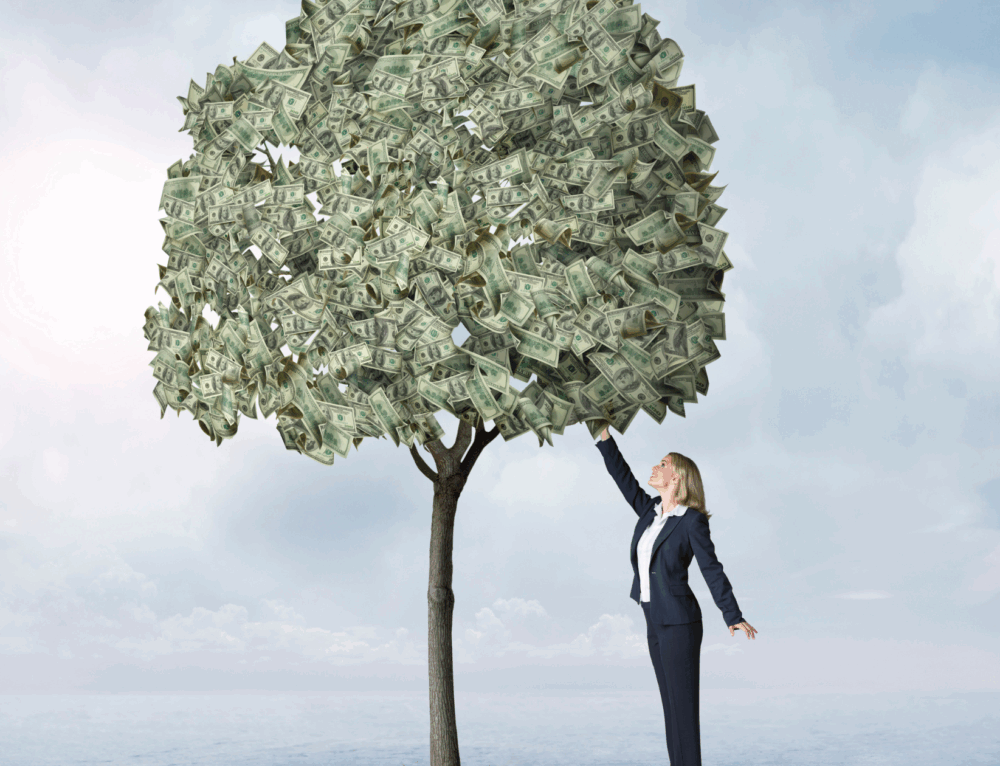 Terminating in Probation: A Simple Guide – HR Gurus